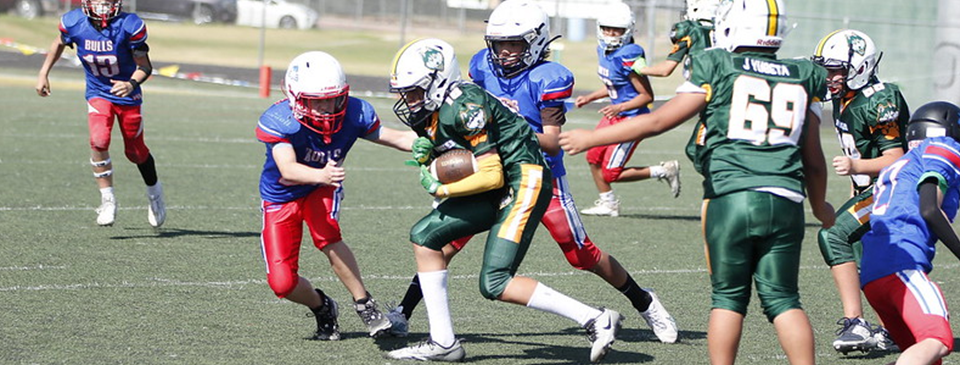 Home [www.jrhuskiesfootball.com]